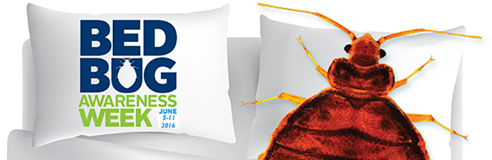 Competition - Bed Bug Awareness Week 2016 | The Bugo